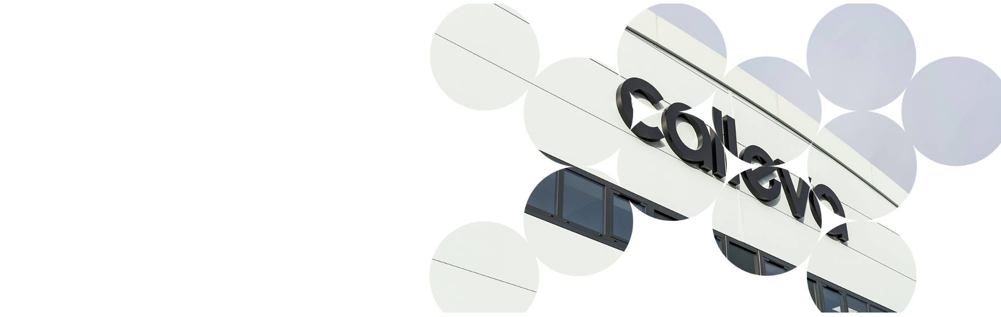 Food ingredients manufacturer, ingredients sales, food technology and ...